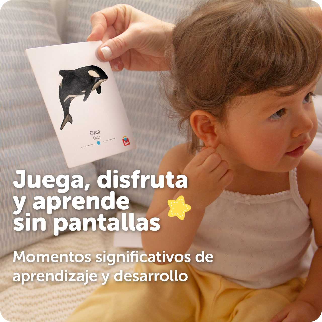 Flash Cards Animales del Agua – Mombee