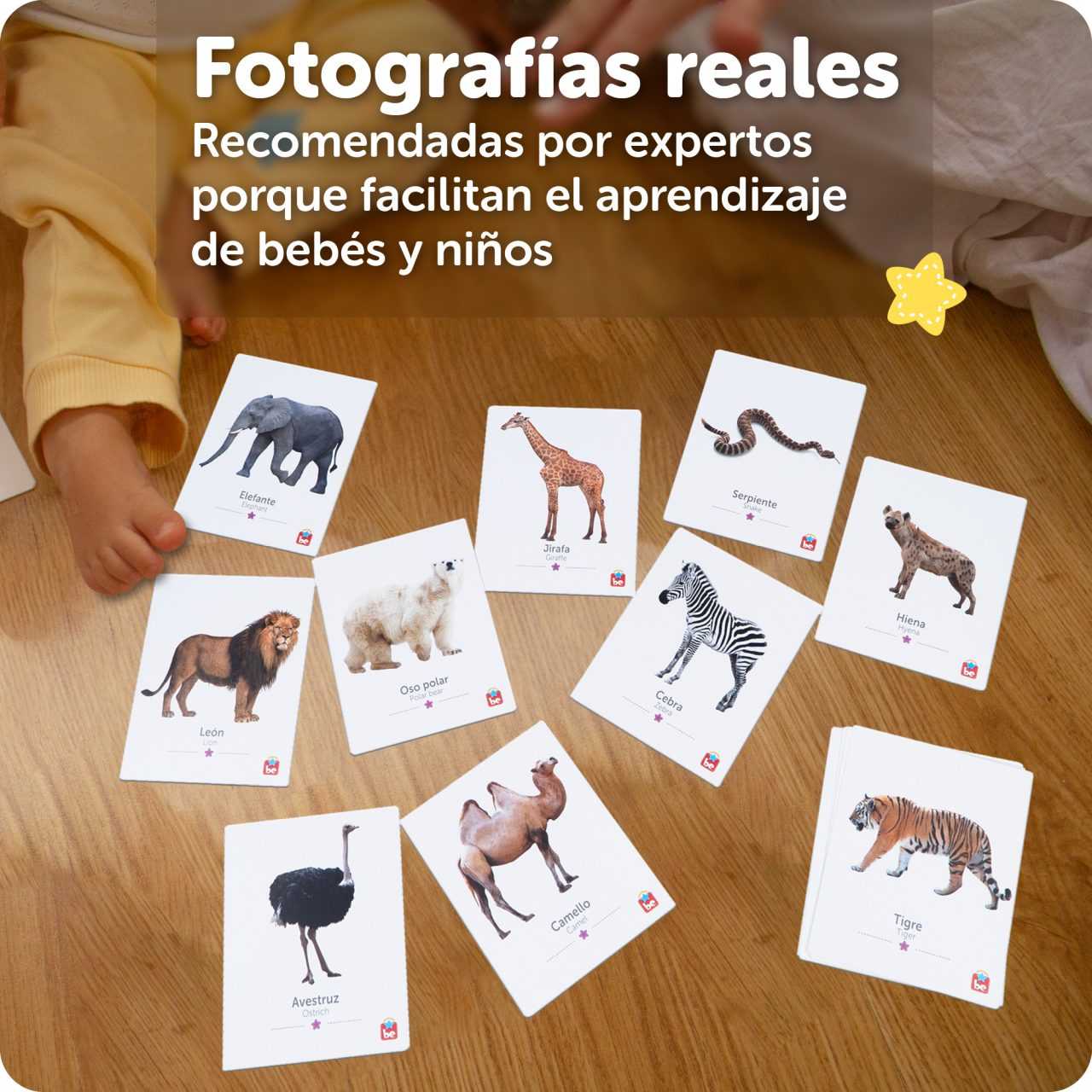 Flash Cards Animales Salvajes – Mombee